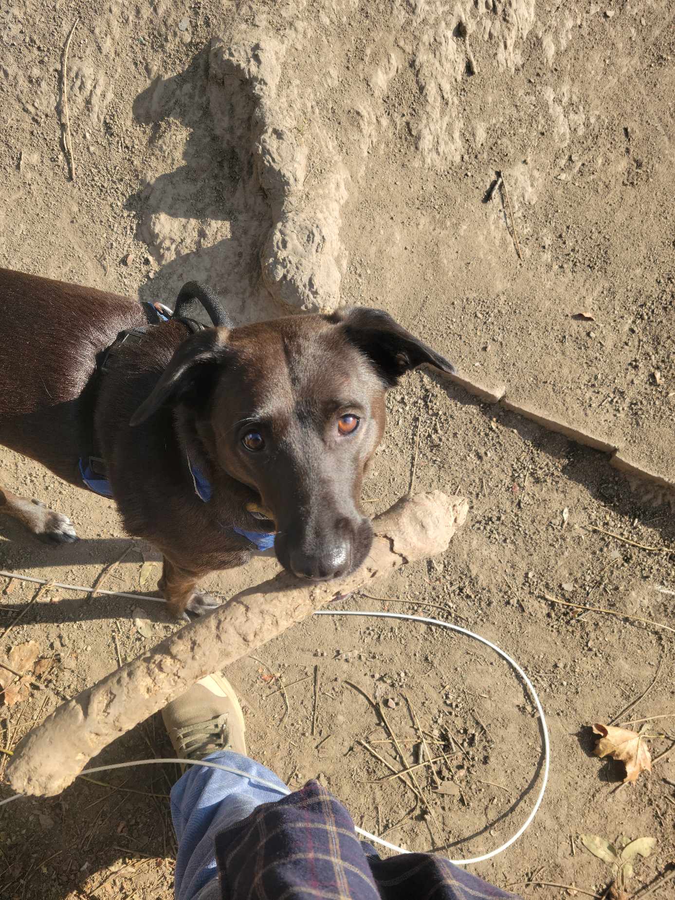 The Mysterious Color