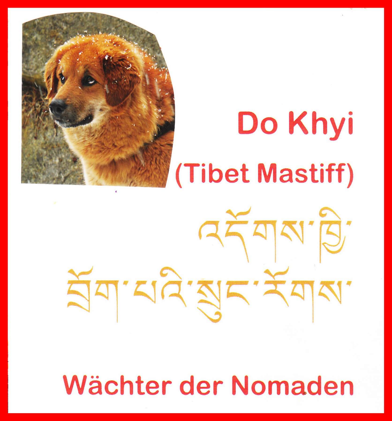 The Dog Who Can Spot the Devil