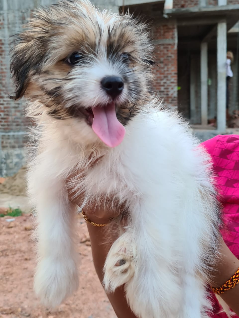 The Prapso. What Is It?