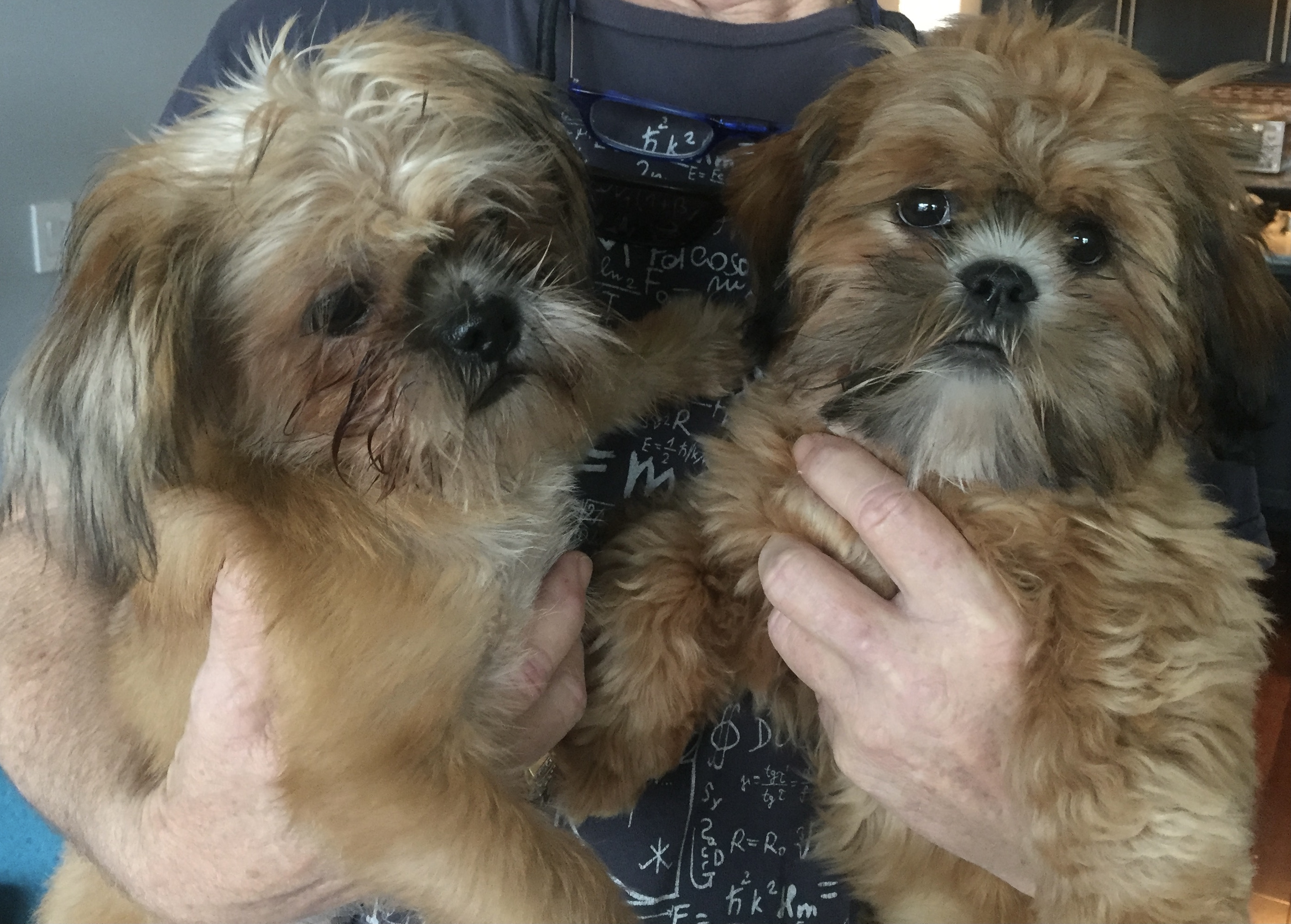 The Prapso. What Is It?