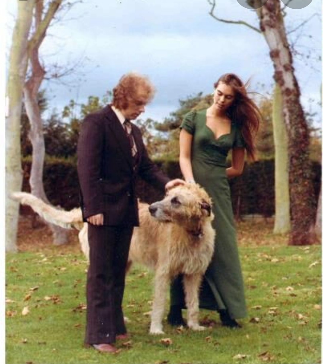 Shorthand for "Irishness"