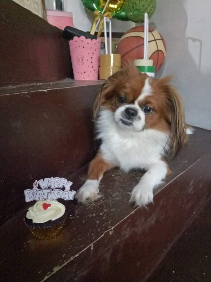 The Prapso. What Is It?