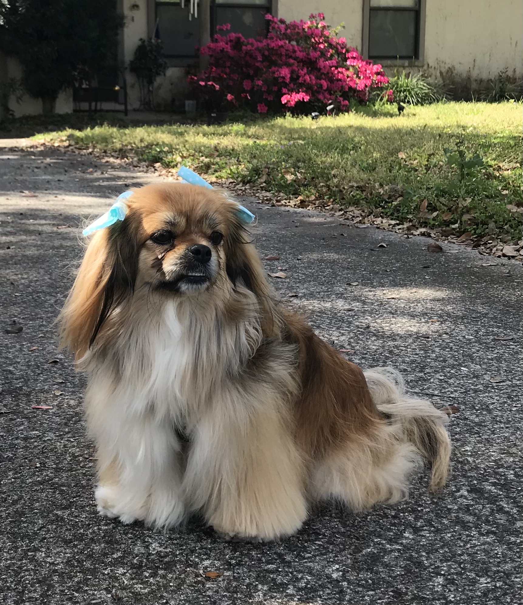 The Prapso. What Is It?