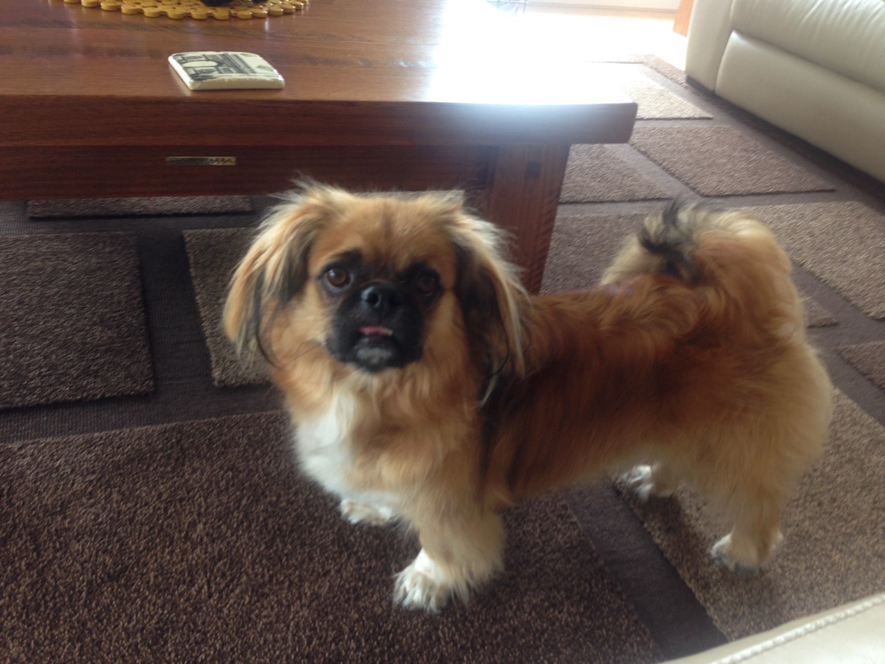 The Prapso. What Is It?