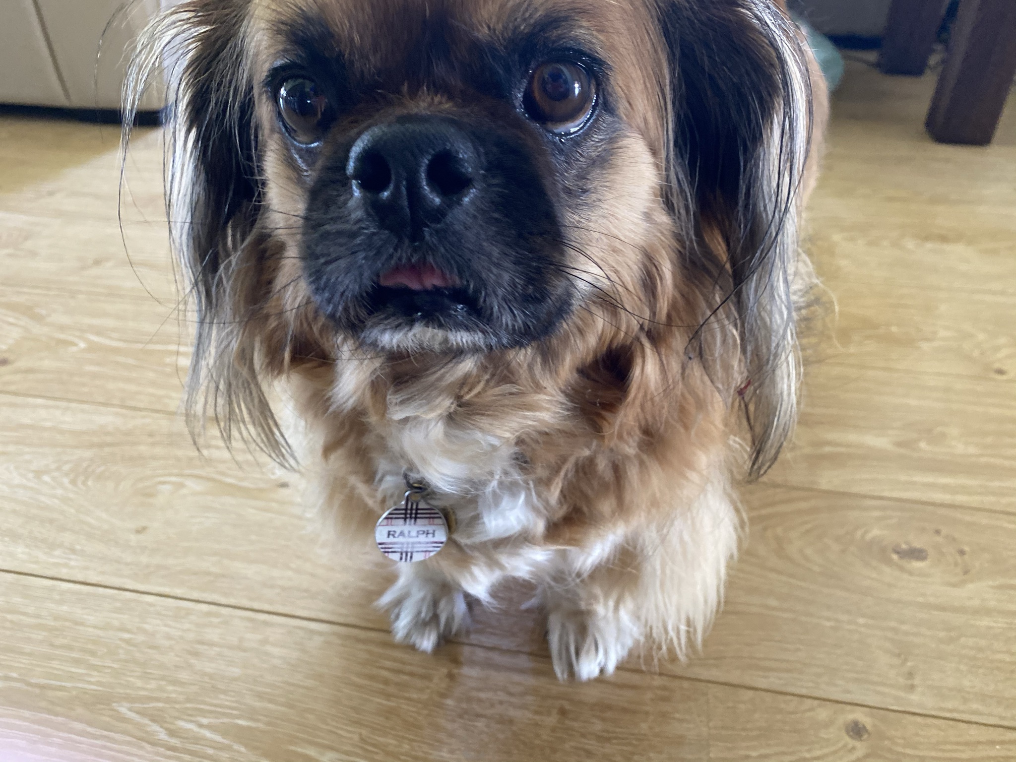 The Prapso. What Is It?