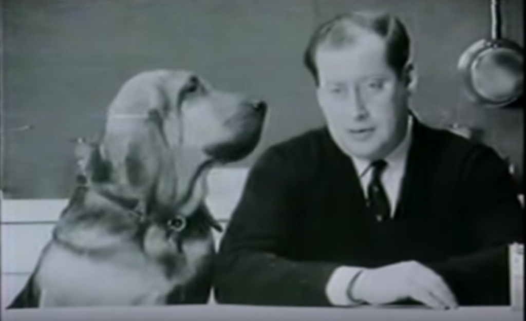 Clement Freud,Bloodhound
