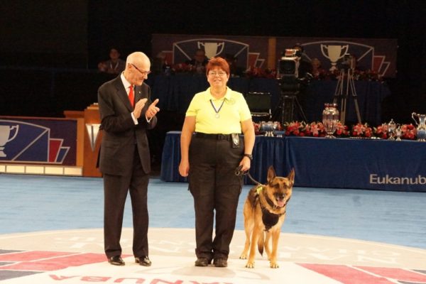 "Ty" the German Shepherd Dog and a Winner of 2015 ACE Award
