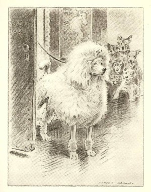 The Oldest of the Poodle Sizes