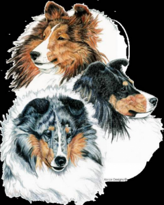 Mousa, Papa Stour, Trondra, Bigga, and Hascosay