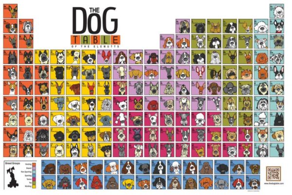 The "Periodic" Dog Table
