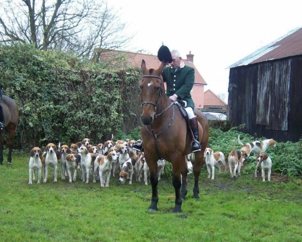 The Subculture of Hunt Packs