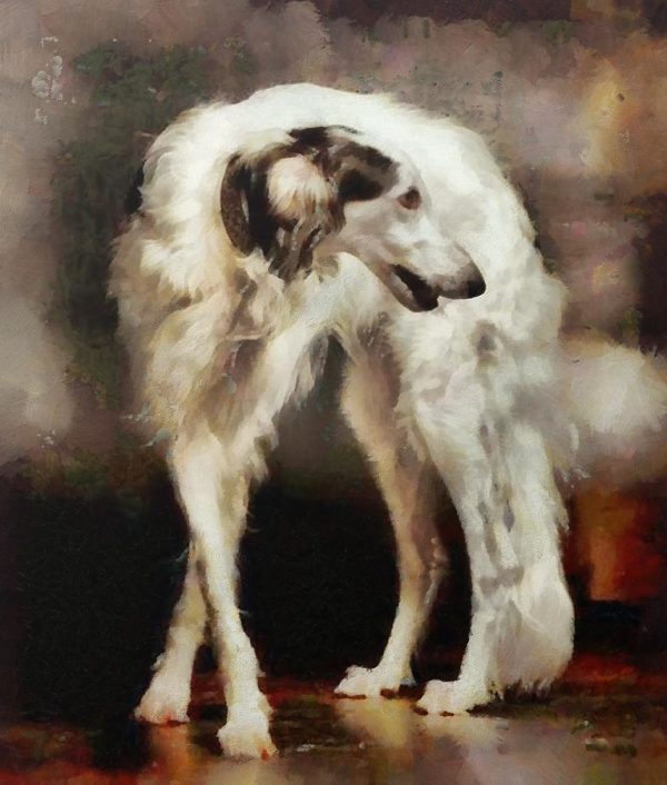 The Borzoi's Royal Connection