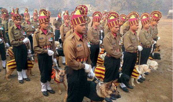 Indian Army Dogs