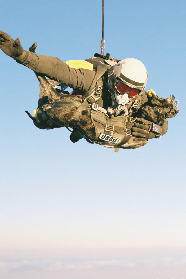 The Highest Man-Dog Parachute Deployment. What Breed Was the Dog?