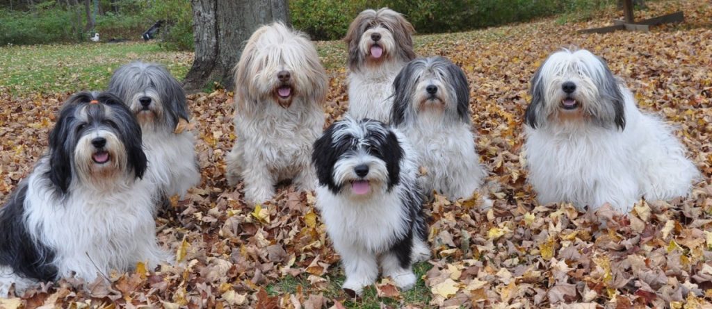 The Natural Breed