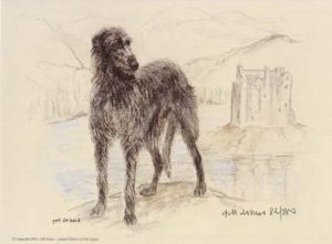 The Royal Dog of Scotland