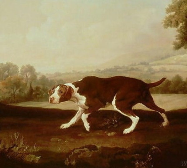 The Godfather of Gundogs