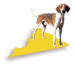 Virginia's State Dog