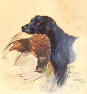 Bolos: Does Your Lab Have Them?