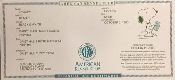 The Only Breed To Appear in Every Decade's Top Ten