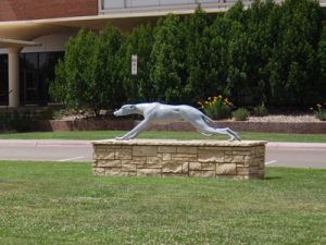 ENMU's Greyhound Mascot