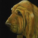 The Lyam Hound