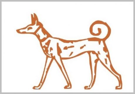 What Breed was Abuwtiyuw, One of the First Dogs Whose Name We Know?