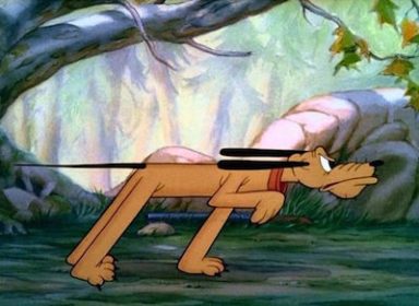 What You Don't Know About Pluto