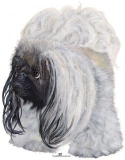 The Peke's Early Names