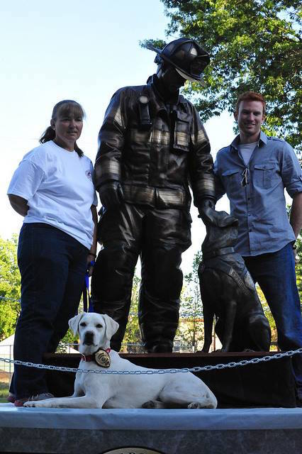 The Favored Breed for Arson Dogs