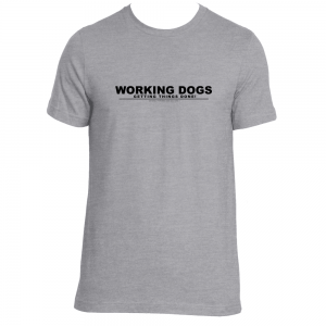 Ruh Roh, It's Astro!