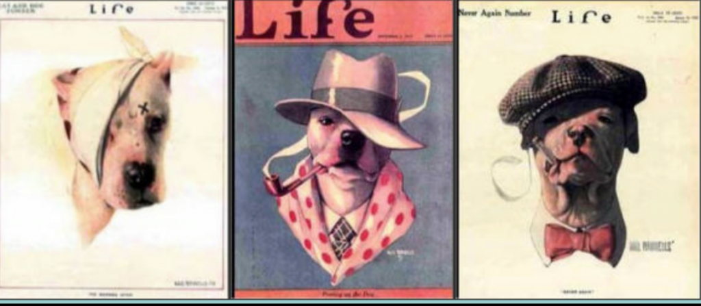 Life Magazine's Only Trifecta Dog