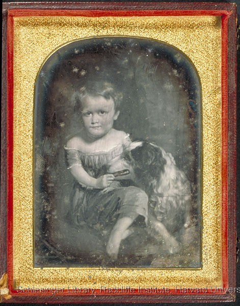 The "Little Woman" Who Wrote "The" Book: Purebred Dog Owner