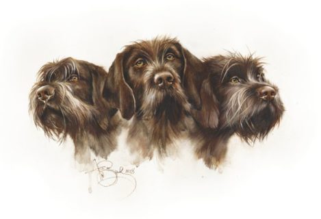 A Poodle/ Pointer Recipe for Success