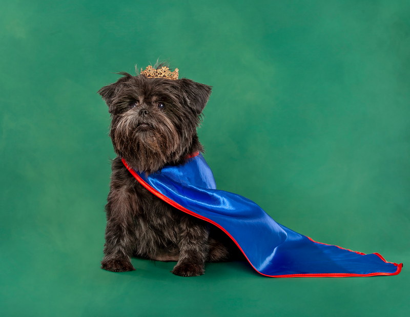 One of Two Caped Crusaders