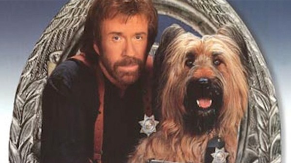 The Entertaining Briard