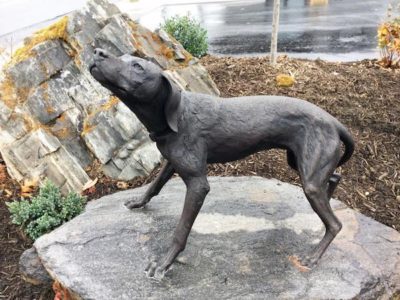 In Remembrance of North Carolina's State Dog