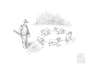 Why Do Pointers Point