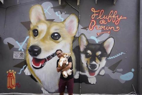 A Pemmie Presents at DCONs