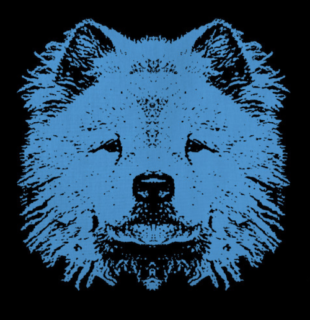 The Esteemed Blue Chow Chow