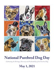 National Purebred Dog Day Official Poster for 2021 - National Purebred ...