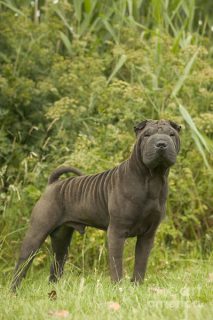 So Nicknamed for a Different Reason