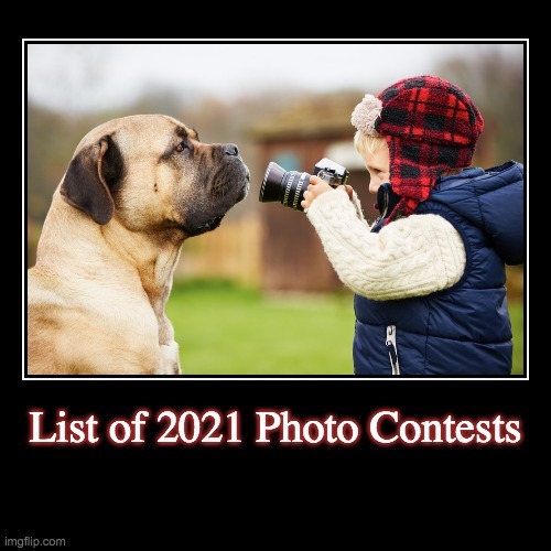 A List of All 2021 Photo Challenges