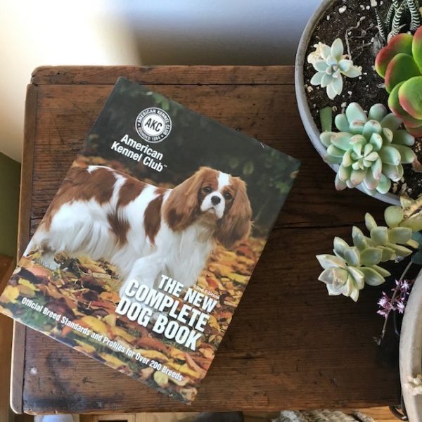 The AKC PAC "Scenes From a Book" Photo Challenge