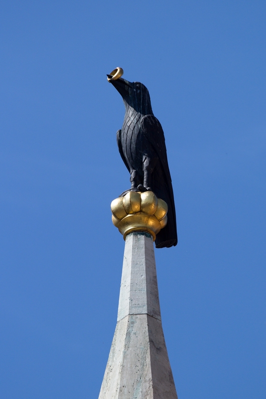 Hungary's Raven with a Ring