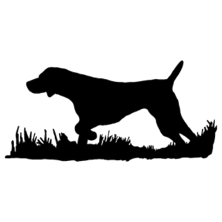 Black and the GSP