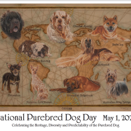 Ruh Roh, It's Astro!