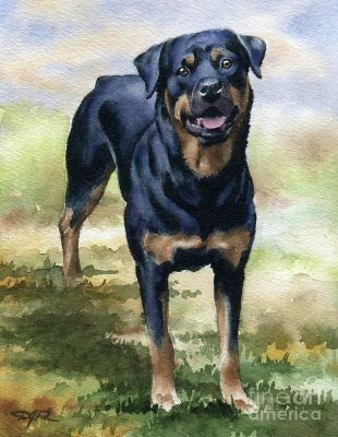 The Rottie's Pivotal Year