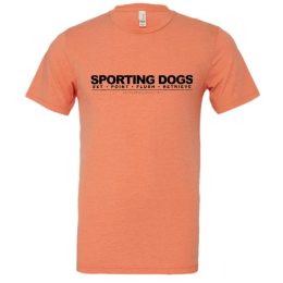 Ruh Roh, It's Astro!