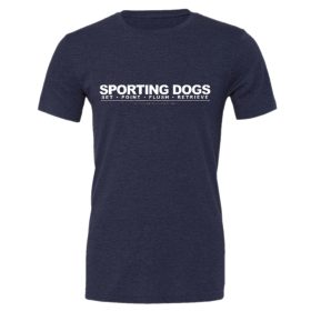 Ruh Roh, It's Astro!